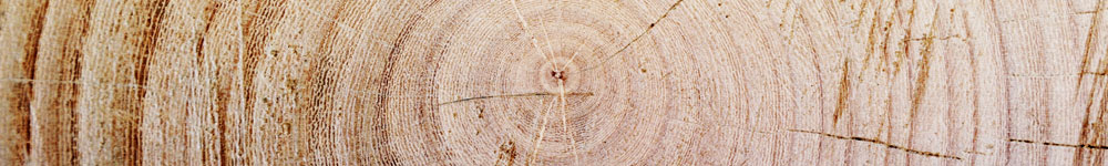 TPA workshop | TPA Workshop